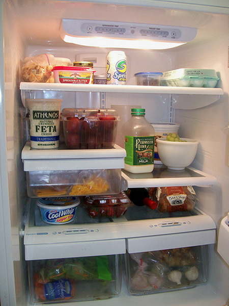 Clean and Deodorize your way to a Sparkling Germ-Free Fridge in Minutes ...