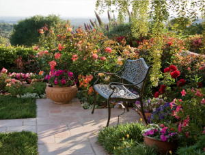 4 Tips To Growing A Rose Garden - Better HouseKeeper
