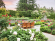 4 Tips To Growing A Rose Garden - Better HouseKeeper