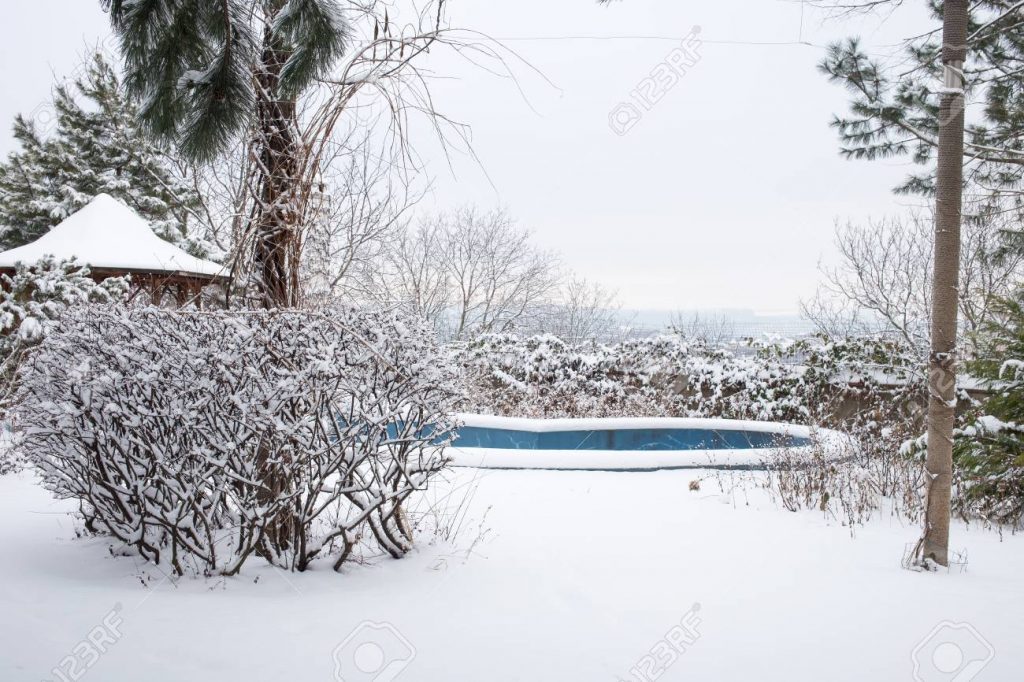 How To Keep A Backyard That Looks Great Throughout The Winter Months ...